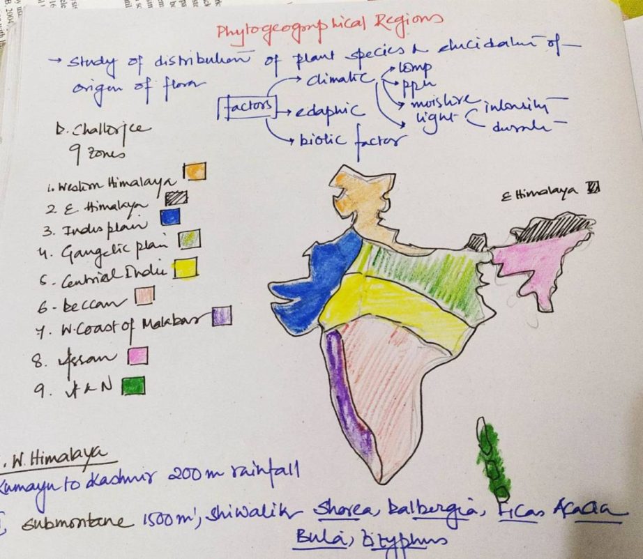 Mayuri Mukherjee UPSC Marksheet, Optional Subject, Age, Posting