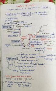 Mayuri Mukherjee UPSC Marksheet, Optional Subject, Age, Posting